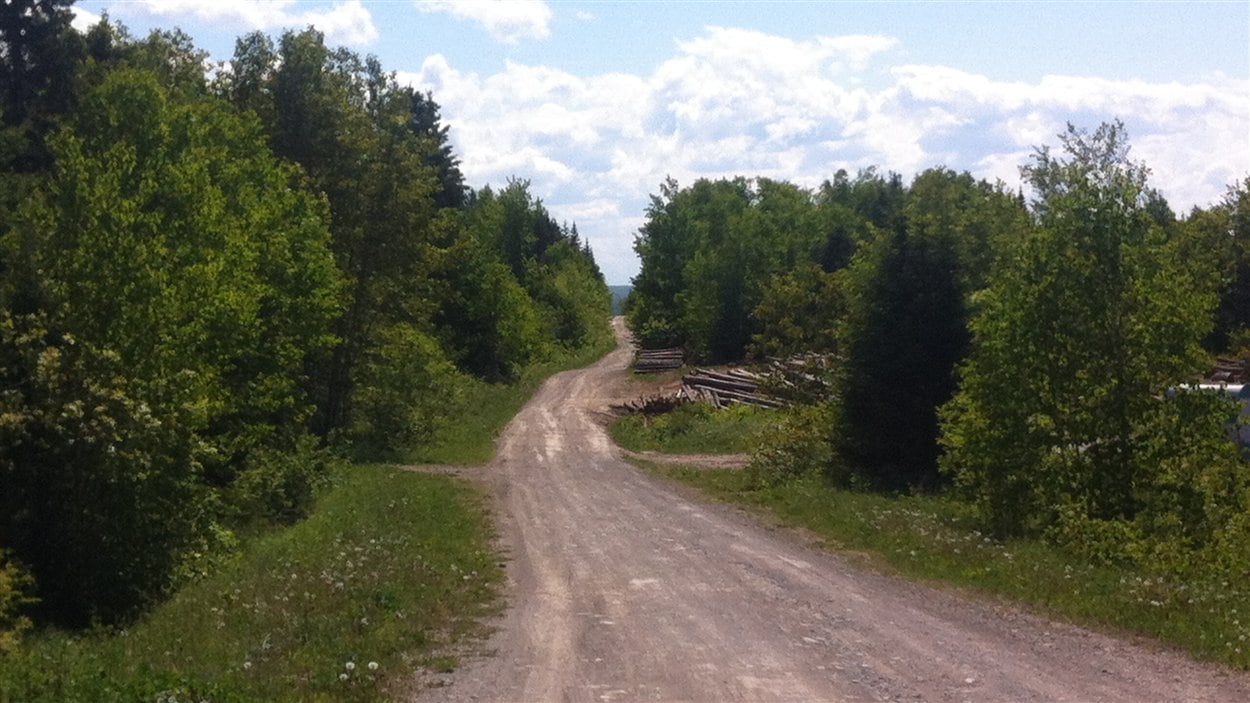 Des investissements pour améliorer les chemins forestiers | ICI.Radio ...