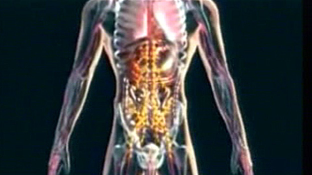 La fondation Cancer de la prostate Canada recommande des tests dès la ...