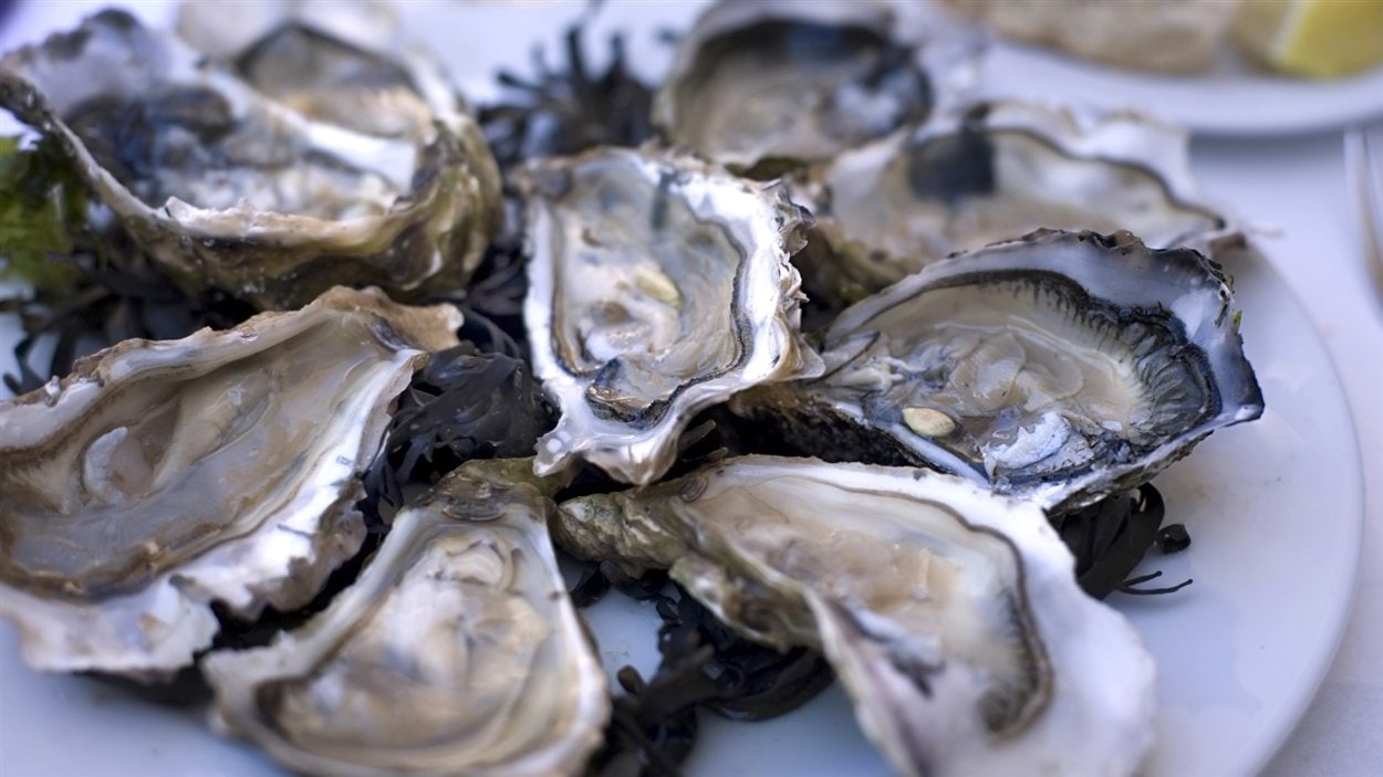 Les huitres sont de plus en plus populaires durant les Fêtes | ICI ...