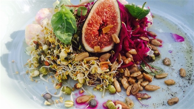 Crevettes nordiques, chou rouge et germinations | Par Ici L'été | ICI ...