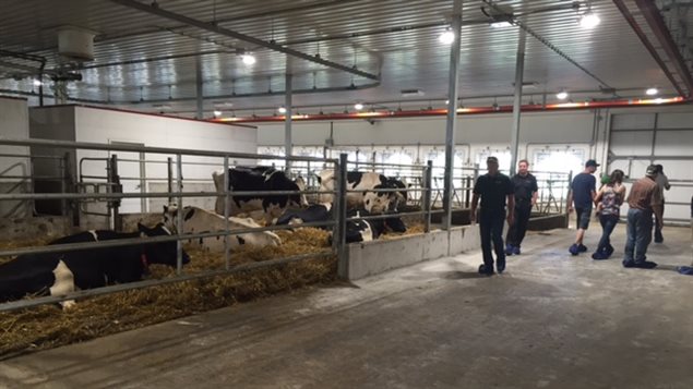 Une ferme laitière ultra moderne ouvre ses portes au public à Saint ...