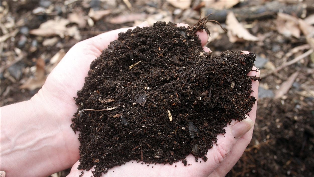 Compostage obligatoire à Calgary dès 2017 | ICI.Radio-Canada.ca