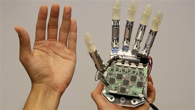 Segment | Découverte | ICI Radio-Canada.ca