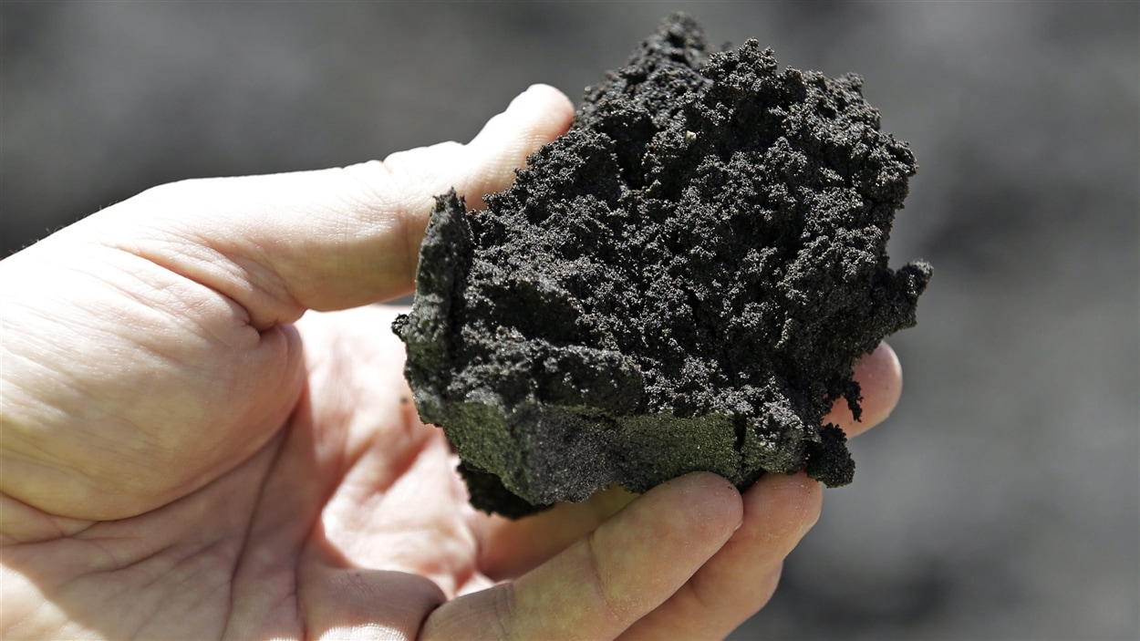 Pour une meilleure évaluation environnementale de l’exploitation des ...