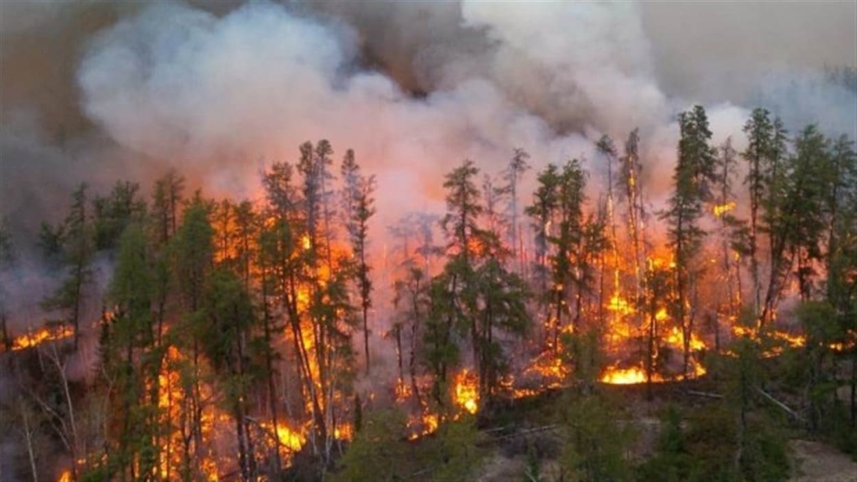 Le feu de forêt à Caddy Lake continue malgré la pluie | ICI.Radio-Canada.ca