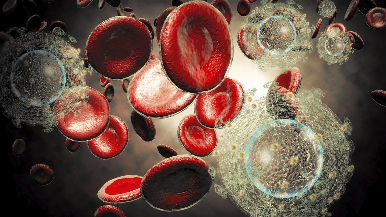 VIH/sida : les cachettes du virus découvertes | ICI.Radio-Canada.ca