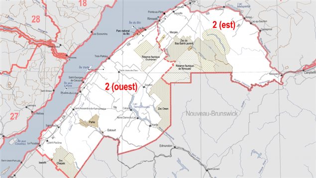 Des milliers de chasseurs à l'assaut de l'orignal | ICI.Radio-Canada.ca